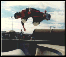 New Page 1 [surfbro.tripod.com]